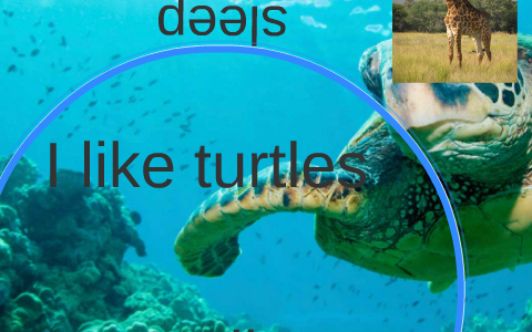 I want to go home by Ellie Taddei on Prezi