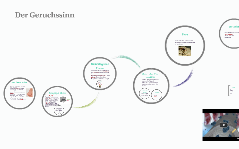 Der Geruchssinn by Kris H. on Prezi