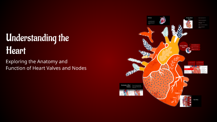Understanding the Heart by Rimsha Zia on Prezi