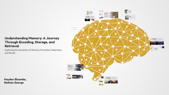 Understanding Memory: A Journey Through Encoding, Storage, and ...