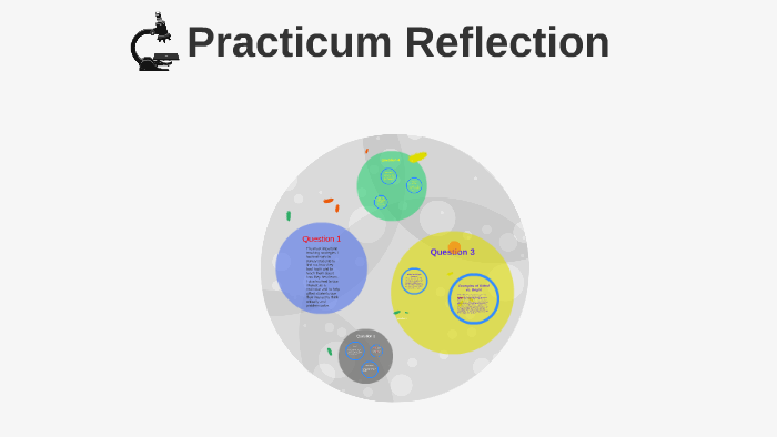 Practicum Reflection by Amy Kanzigg on Prezi