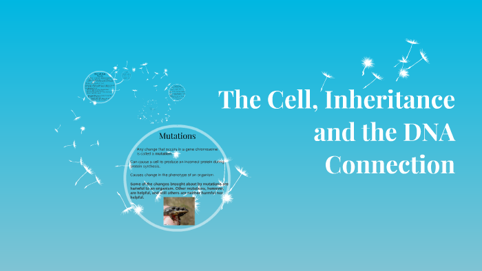 The Cell, Inheritance and the DNA Connection by Alicia Bartels on Prezi