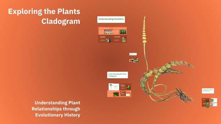 Exploring the Plants Cladogram by Angel Torres on Prezi
