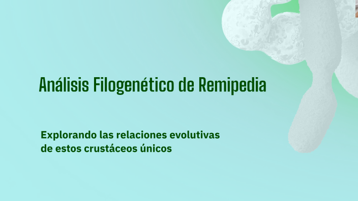 Análisis Filogenético de Remipedia by Marian Olivo on Prezi