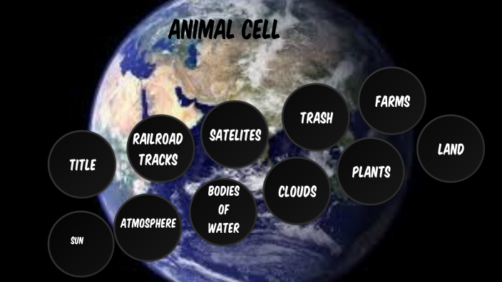 animal cell-earth/solar system by Kimauri Bradley on Prezi