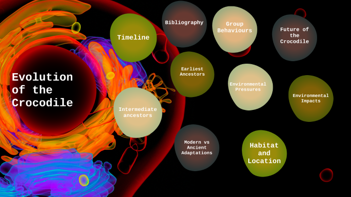 Evolution of the Crocodile by Colby McCallum on Prezi