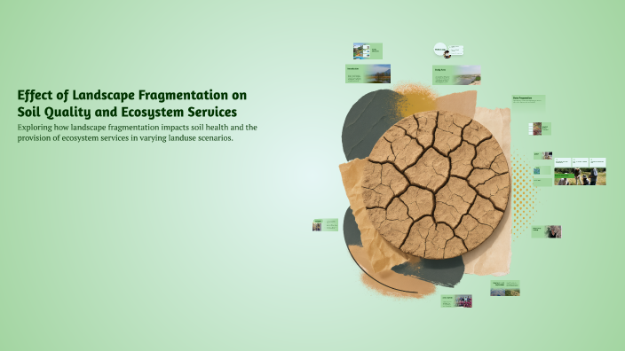 Effect of Landscape Fragmentation on Soil Quality and Ecosystem ...