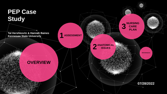 PEP Case Study by Tal Hershkovitz on Prezi