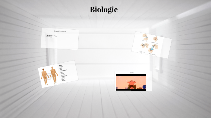 Biologie by Daniel Faltin on Prezi