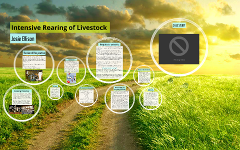 Intensive Rearing of Livestock by on Prezi