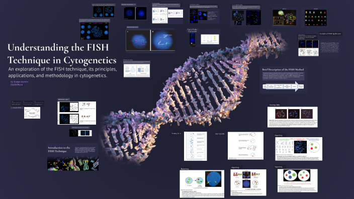 Understanding the FISH Technique in Cytogenetics by Erada Emad on Prezi