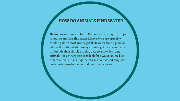 HOW DO ANIMALS FIND WATER by sierra hanlon on Prezi