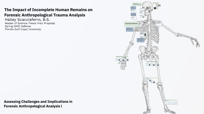 The Impact of Incomplete Human Remains on Forensic Trauma Analysis by ...