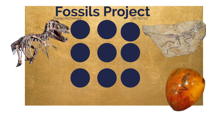 Fossils Project by Daniel McDoanld on Prezi