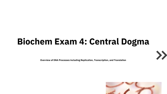 Biochem Exam 4: Central Dogma by Emma Sugarman on Prezi