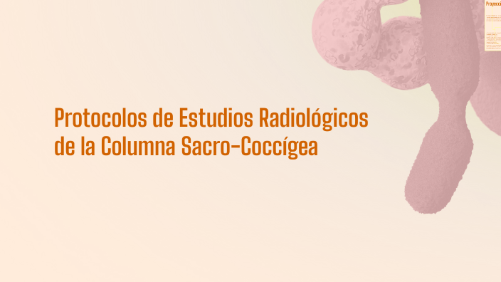 Protocolos de Estudios Radiológicos de la Columna Sacro-Coccígea by ...