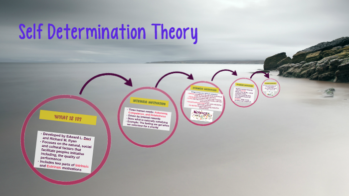 Self Determination Theory by on Prezi