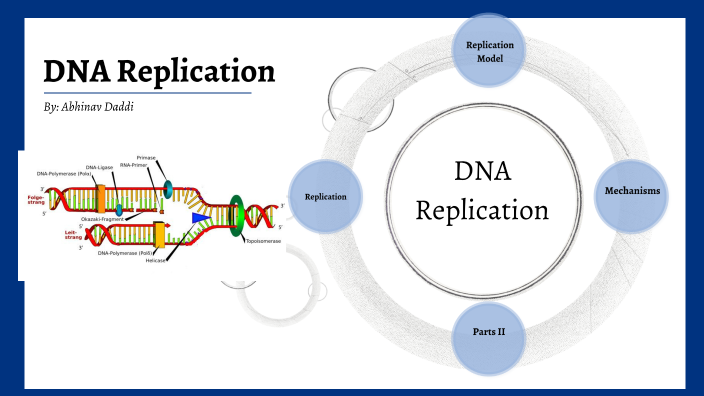 DNA Replication Project by Abhinav Daddi on Prezi