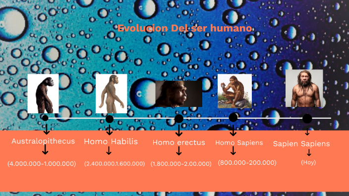 Evolución del ser humano by Britany Orbes on Prezi