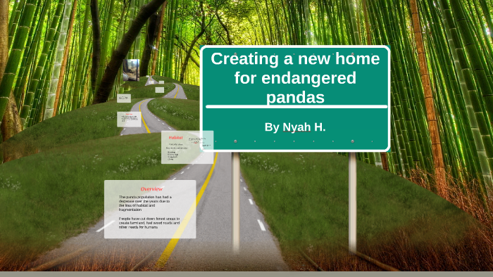 Creating a new home for endangered Pandas by Nyah Hines on Prezi