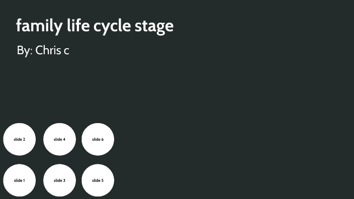family life cycle stages by Christopher Casarez on Prezi