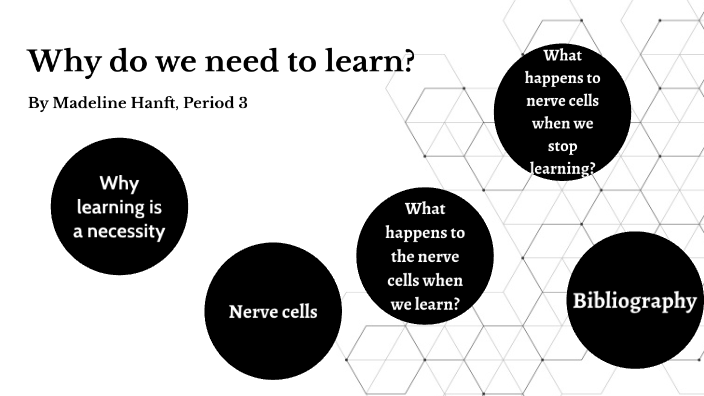 Why do we need to learn? by Madeline Hanft on Prezi