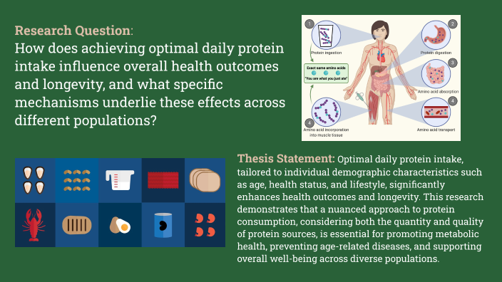 The Power of Protein by Stephen Reddington on Prezi
