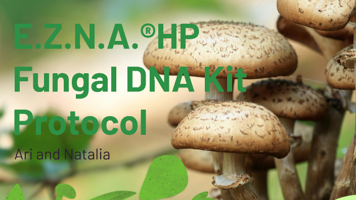 E.Z.N.A.® HP Fungal DNA Kit by Claudia Ariana on Prezi