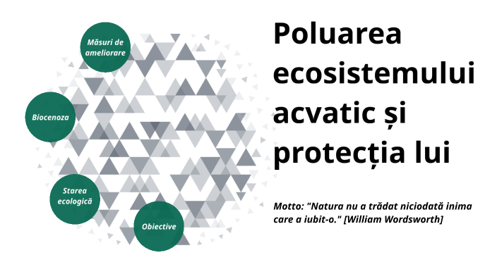 Ecosistemul acvatic by Victoria Badilo on Prezi