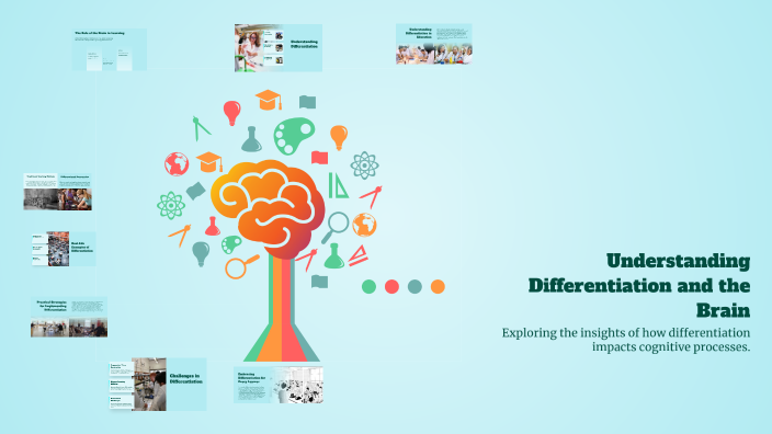 Understanding Differentiation and the Brain by Constance Davis on Prezi