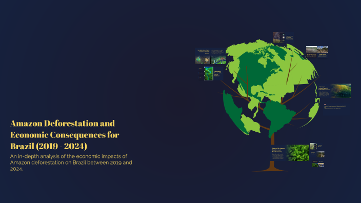 Amazon Deforestation and Economic Consequences for Brazil (2019 - 2024 ...