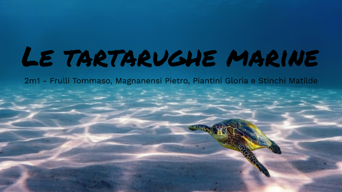 Le tartarughe marine by Matilde Stinchi on Prezi