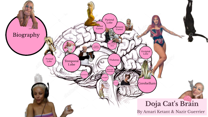 Doja Cat - Celebrity Brain Project by Amari Ketant on Prezi