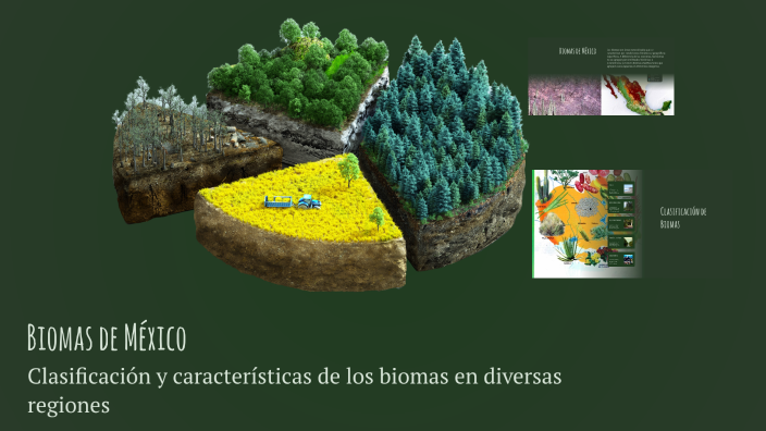 Biomas de México by Jairo Santiago on Prezi