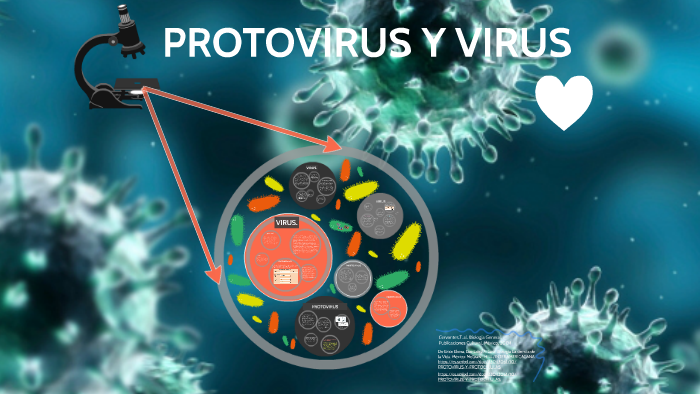 virus y protovirus by Adriana Guzmán Jiménez on Prezi