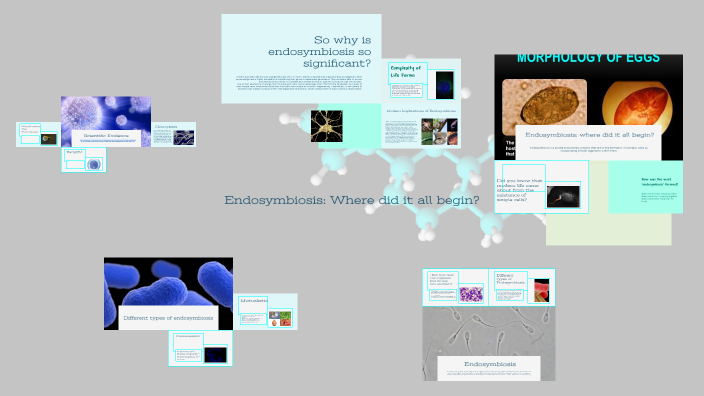 Endosymbiosis: The Evolution of Complex Life by eshika patel on Prezi