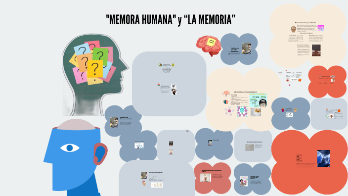La Importancia de la Memoria en la Vida Humana by Adriana Juleidy Loor ...