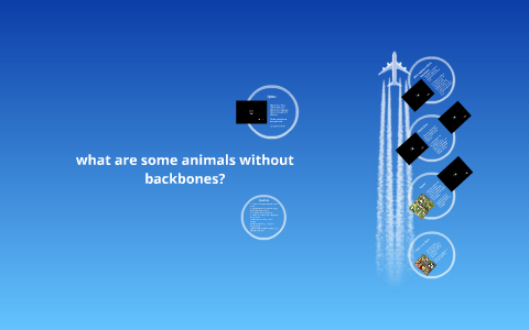 what are some animals without backbones? by Mey-Lin Mau on Prezi