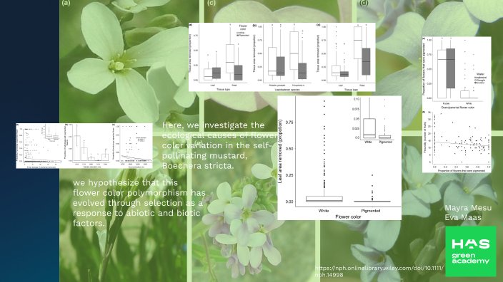 Ecological causes and consequences of flower color polymorphism in a ...