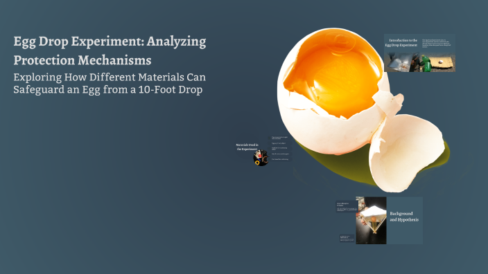 Egg Drop Experiment: Analyzing Protection Mechanisms by destinee ...