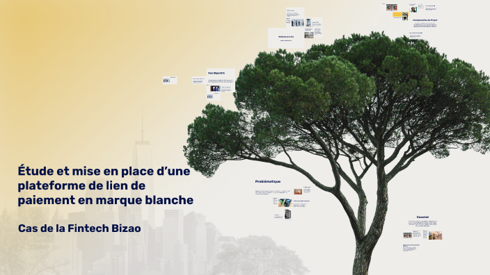 Étude et mise en place d’une plateforme de lien de paiement en marque ...