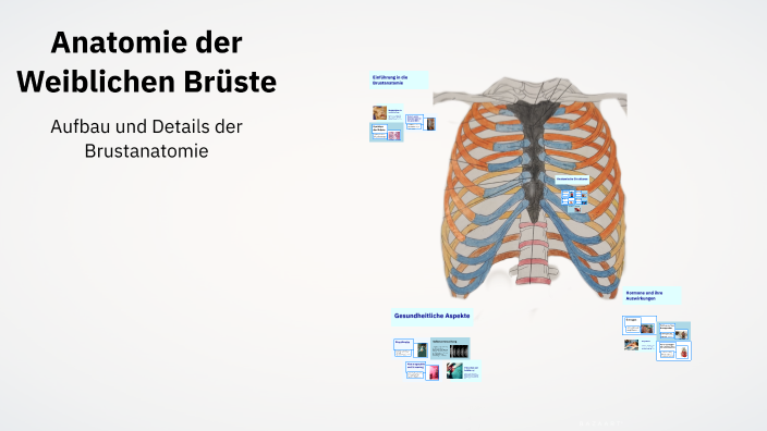 Anatomie der Weiblichen Brüste by Santino B. on Prezi