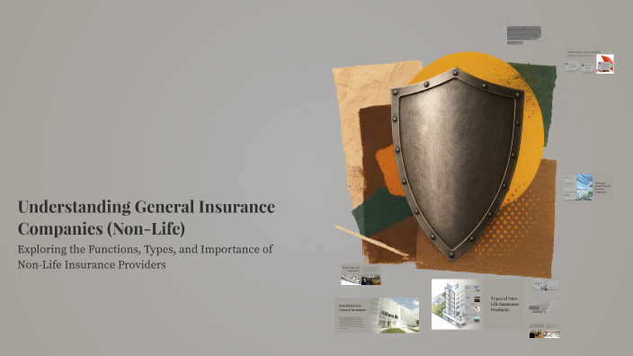 Understanding General Insurance Companies (Non-Life) by Subhan Garibli ...