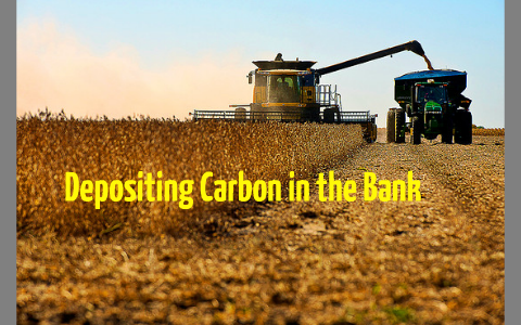 The Soil Bank by Jason Mack