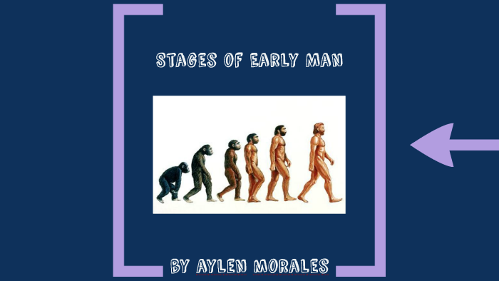 Stages of Early Man by Aylen Morales on Prezi