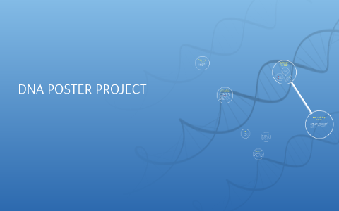 DNA POSTER PROJECT by cch bio on Prezi