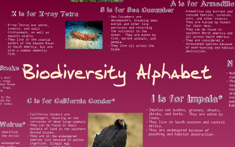 Biodiversity Alphabet by Abbey Verhey on Prezi