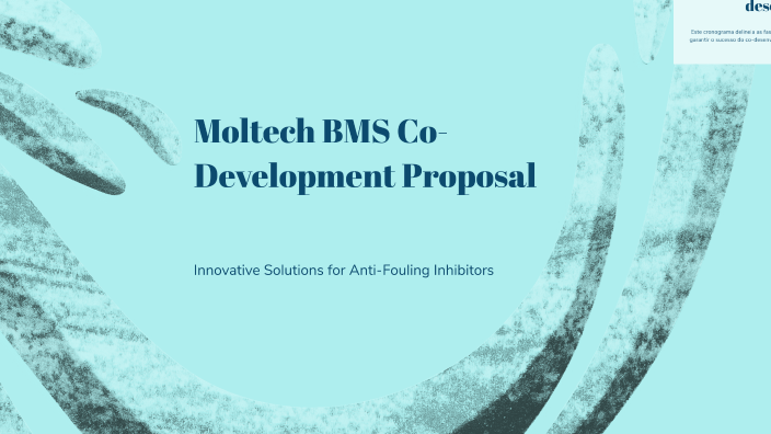 Moltech BMS Co-Development Proposal by Brenno Veras on Prezi