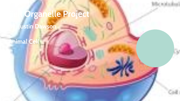 Cell Organelle Project by Justin Dawson _ Student - WakefieldHS on Prezi