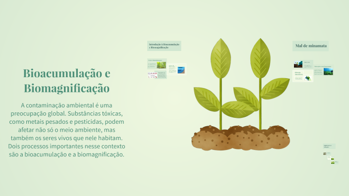 Bioacumulação em Plantas by Kauã Henrique on Prezi